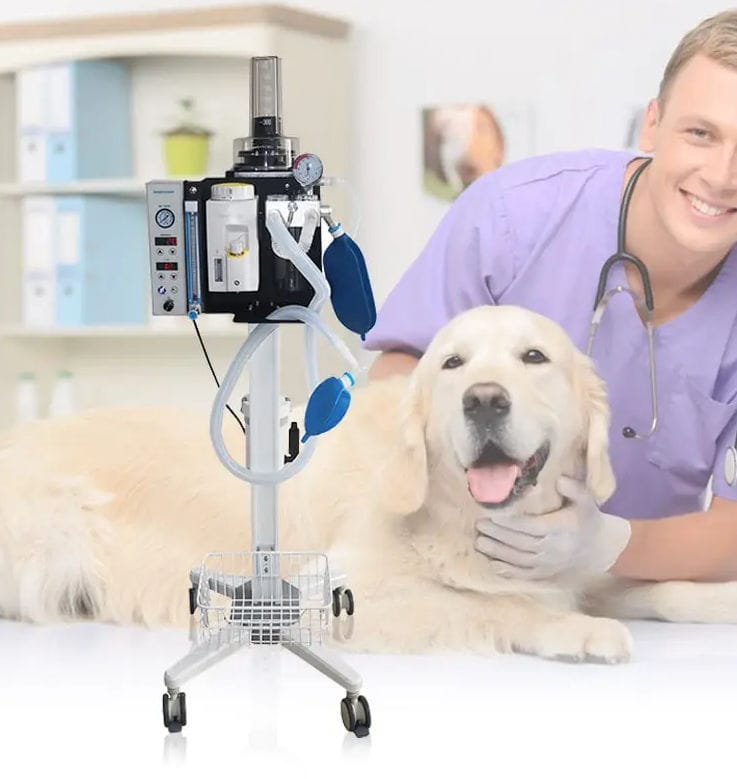 Trolley-mounted veterinary anesthesia workstation - OLV-V3 - Zhengzhou Olive Electronic Technology