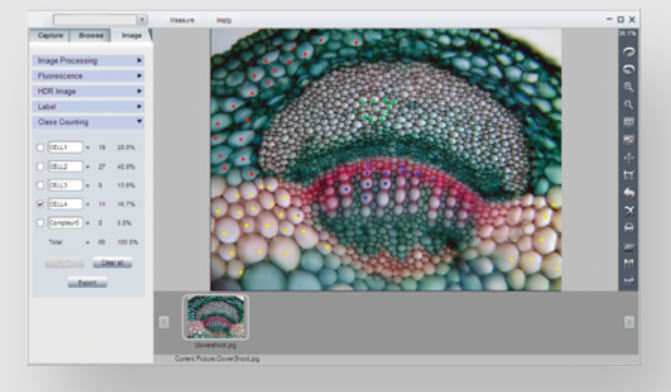 Control software - echoImage - Echo R&D S.r.l. - capture / for digital ...