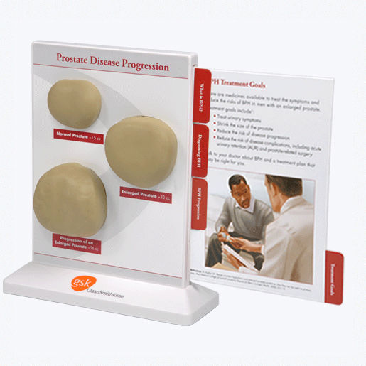 Prostate model - Apple Biomedical - surgical