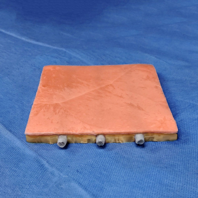 Suture simulator - 0257 - LifeLike BioTissue Inc. - for ultrasound imaging / surgery / anastomosis