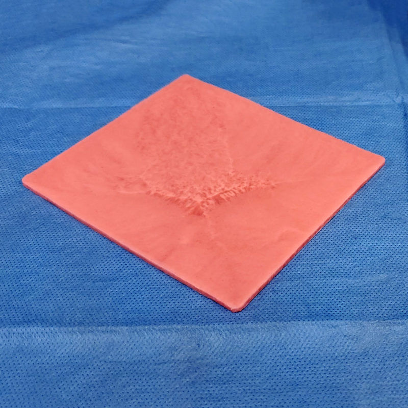 Stomach model - 034 series - LifeLike BioTissue Inc. - surgical / training