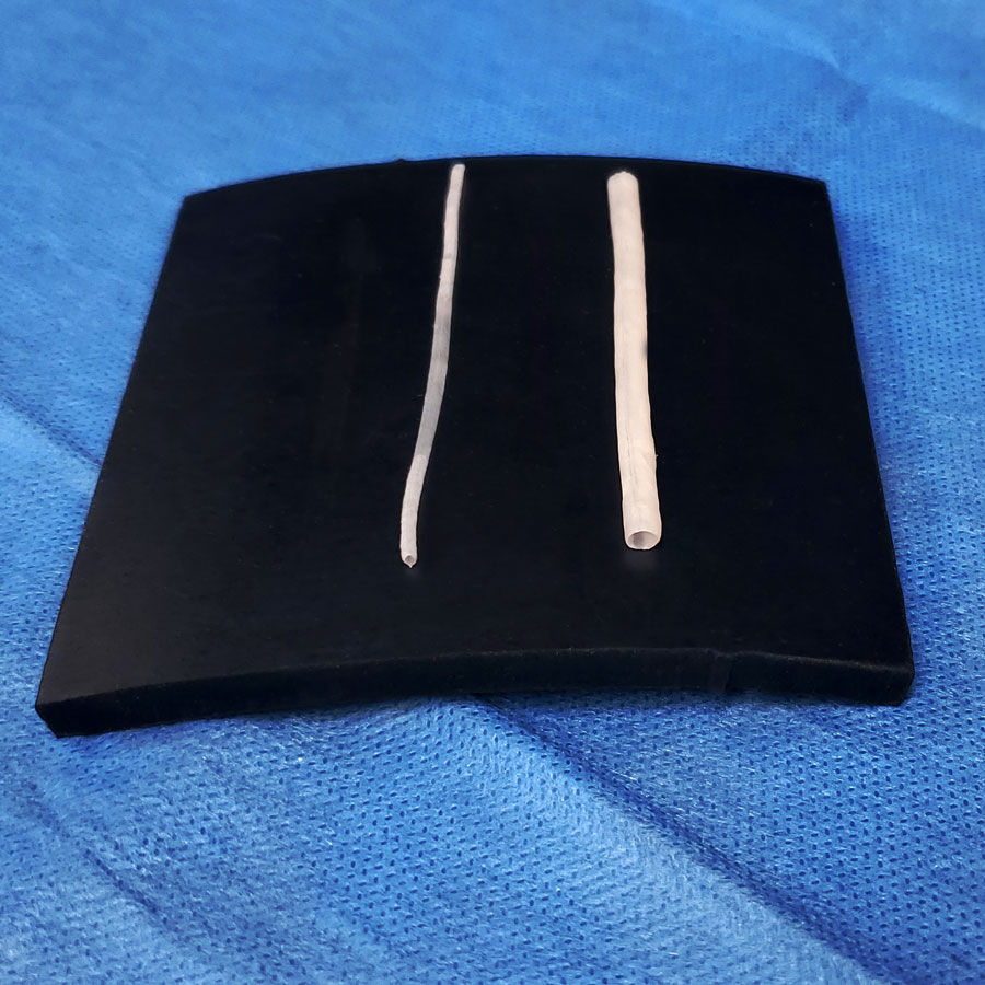 Blood vessels vascular model - 10 series - LifeLike BioTissue Inc ...