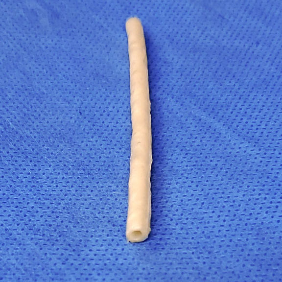 Surgery model - 06 series - LifeLike BioTissue Inc. - for urological ...