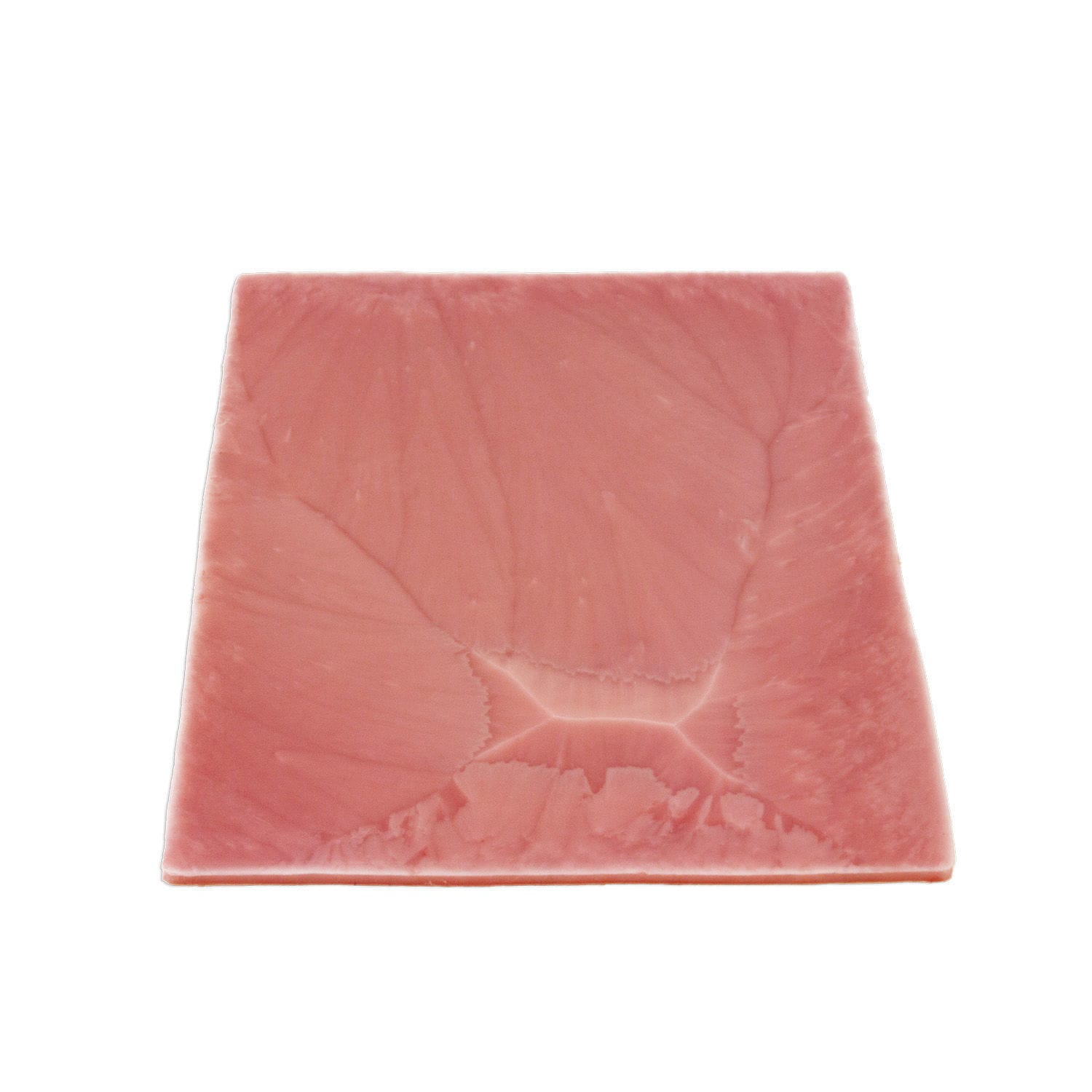 Stomach model - 034 series - LifeLike BioTissue Inc. - surgical / training