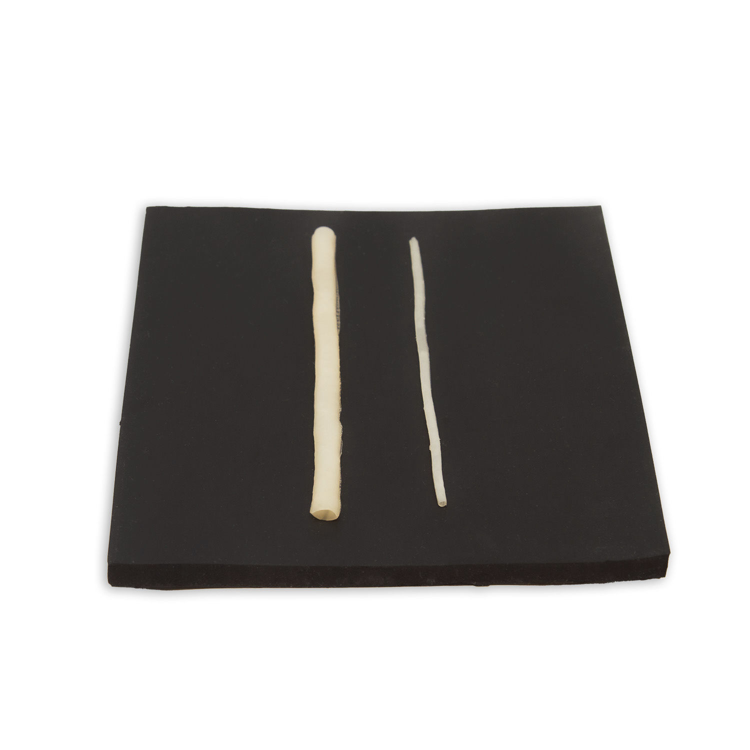 Blood vessels vascular model - 10 series - LifeLike BioTissue Inc ...