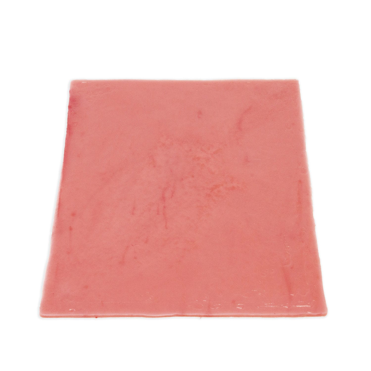 Bladder model - 060 series - LifeLike BioTissue Inc. - surgical / for ...