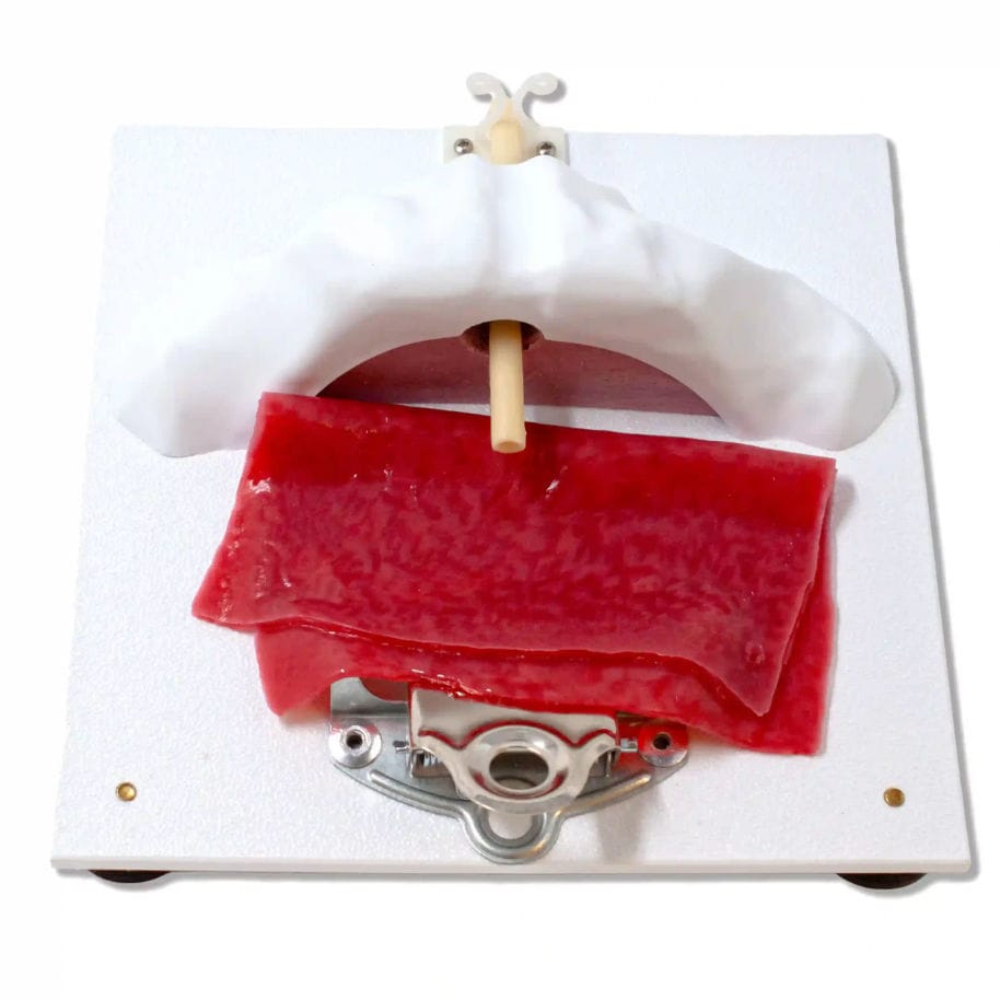 Model holder - 1211 - LifeLike BioTissue Inc.