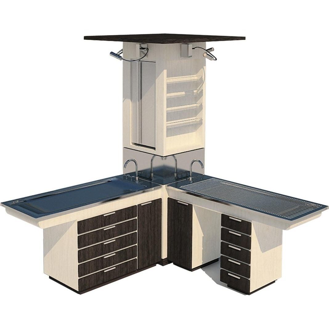 Veterinary workstation - Vetls - Tigers - with sink / with shelves ...