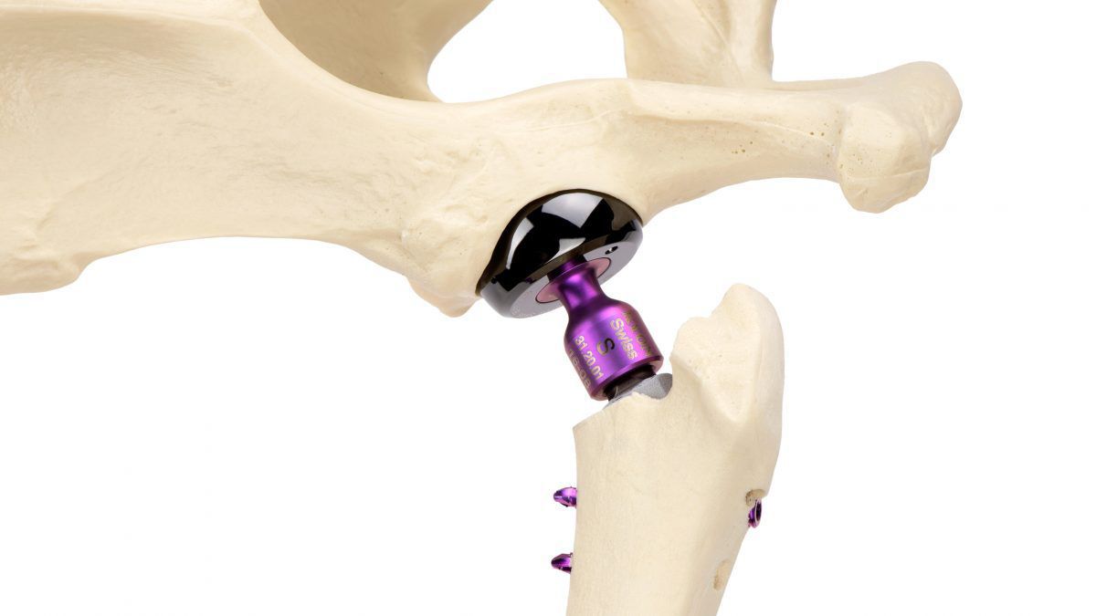 Cementless veterinary hip prosthesis - Cupless PHR - KYON - for total ...