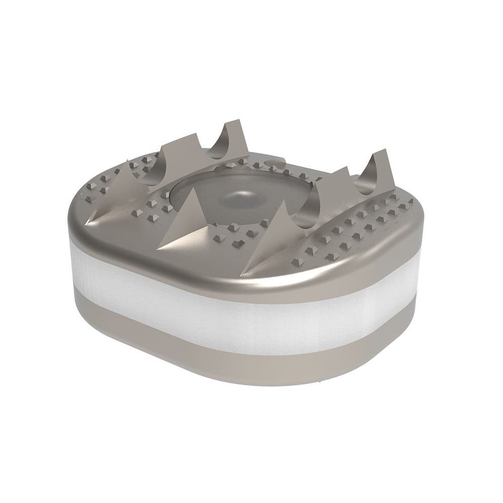Cervical disc prosthesis - D-Flex - NORMMED Medical Devices