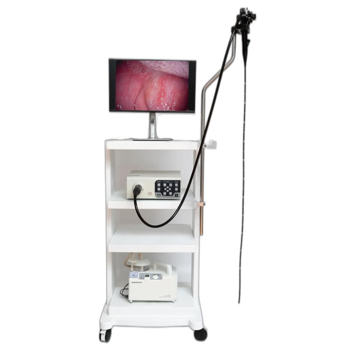 Video veterinary gastroscope - HU37T - Hunan Fude Technology - for ...