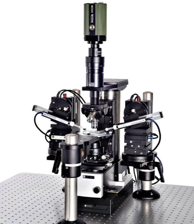 Optical microscope - Scientifica SliceScope Pro 1000 - Scientifica ...