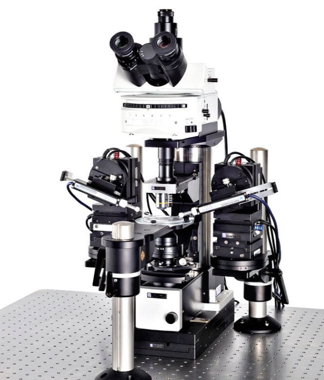 Research patch-clamp system - SliceScope Pro 1000 - Scientifica - with ...