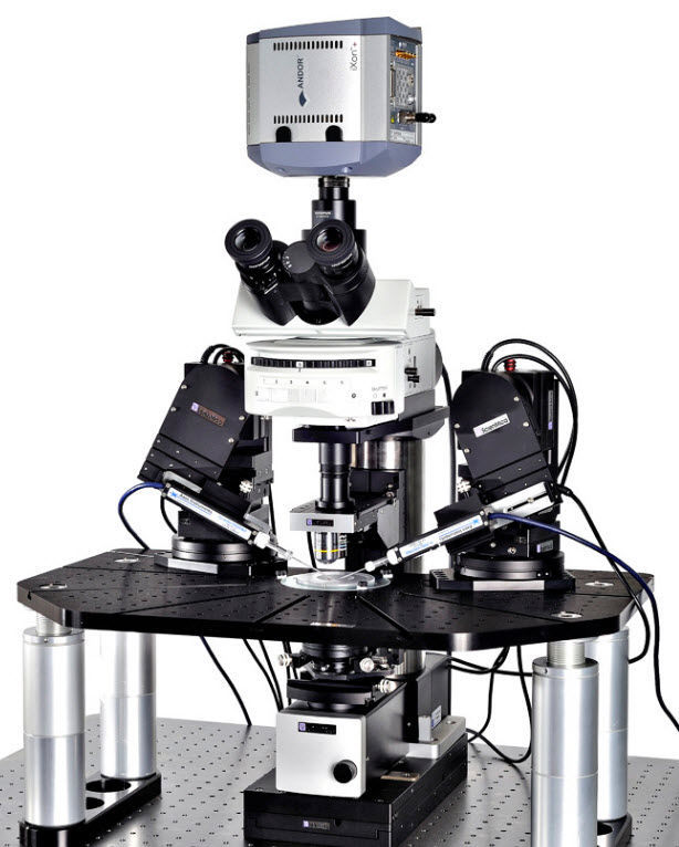 Optical microscope - SliceScope Pro 2000 - Scientifica - for research ...