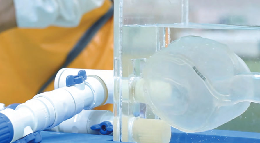 Blood vessel model - RDN - JMC Corporation - training / vascular surgery