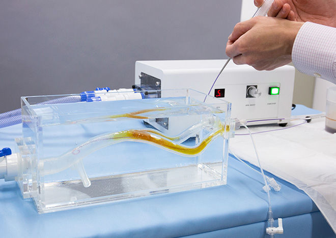 Blood vessels vascular model - RDN - JMC Corporation - vascular surgery ...