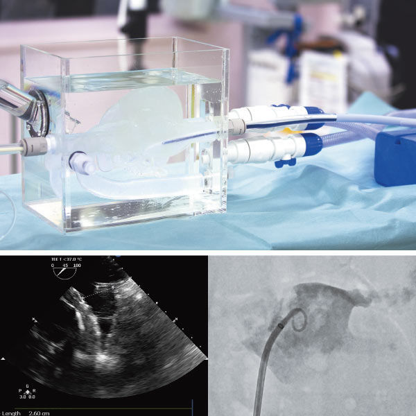 Heart model - LAA Closure Model - JMC Corporation - vascular surgery ...