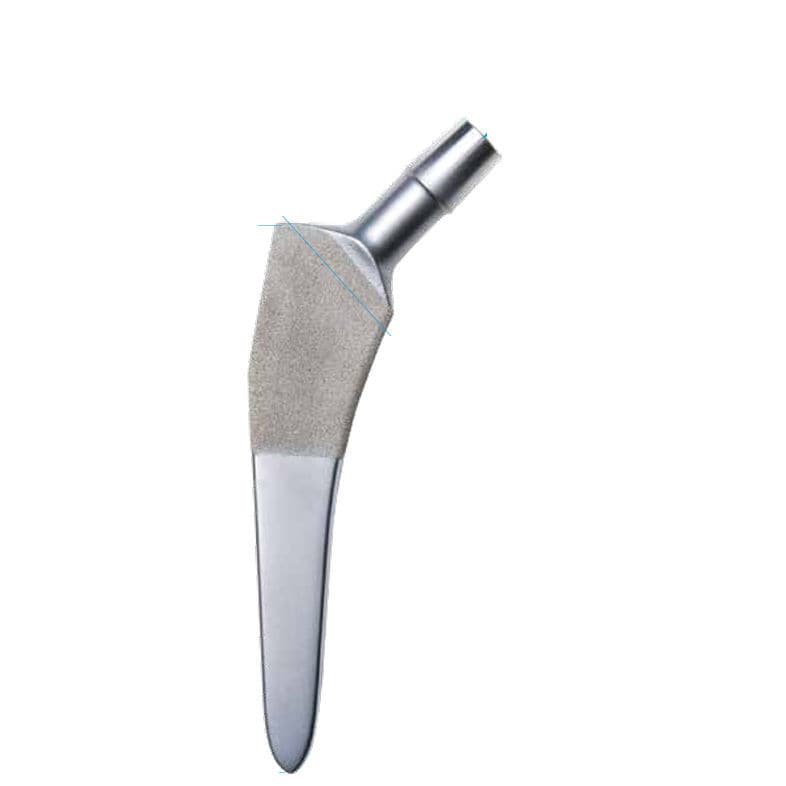 Cementless femoral stem - 322013 - Beznoska