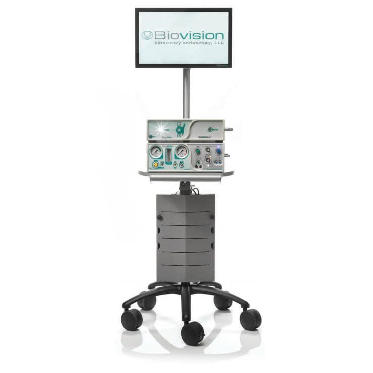 Video veterinary laparoscope - EDSS - Biovision Veterinary Endoscopy