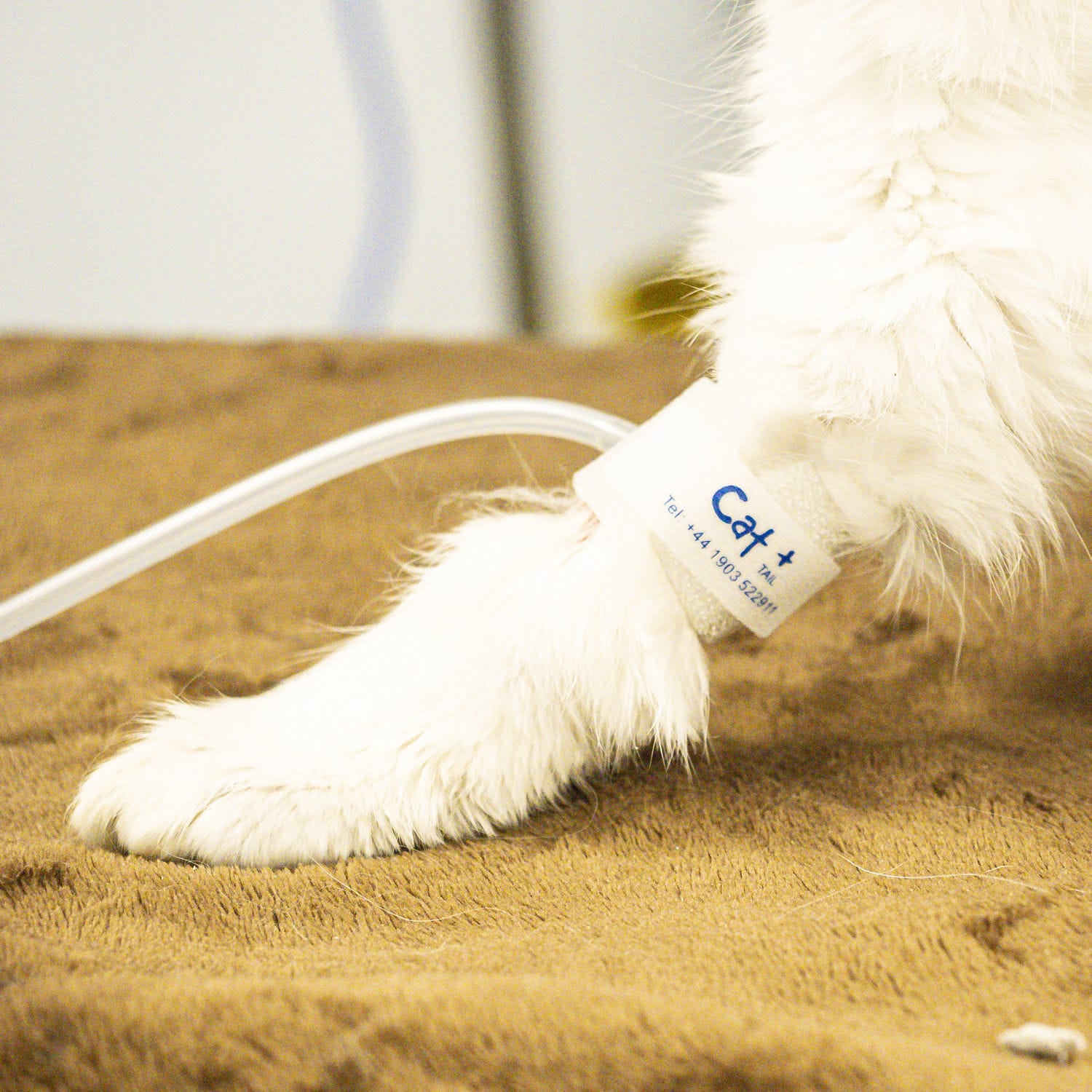 Blood pressure cuff - CAT+ - Thames Medical