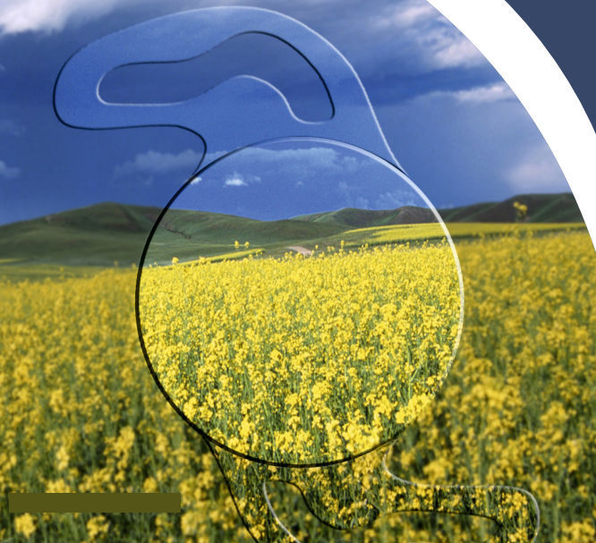 Monofocal intraocular lens - AUROFLEX - Aurolab