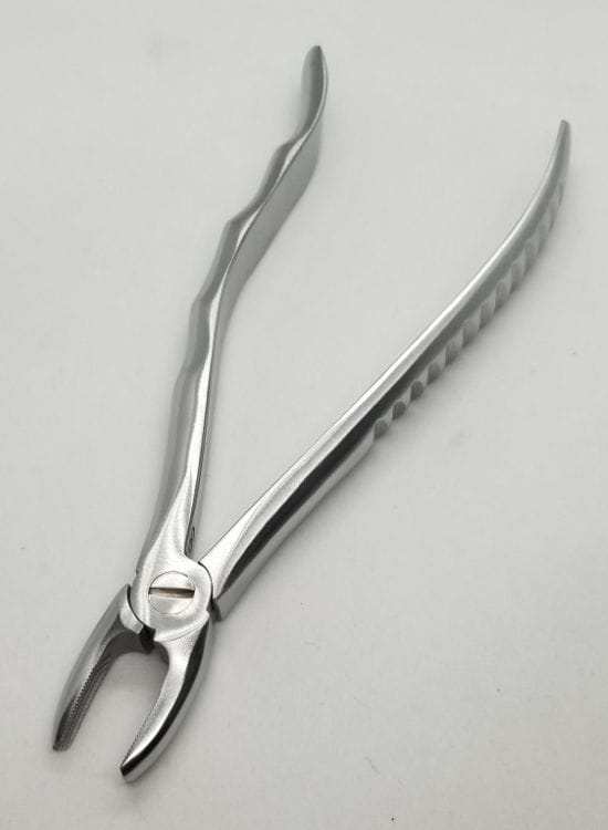Canine teeth dental extraction forceps - 12-43-003 - Lorien Industries
