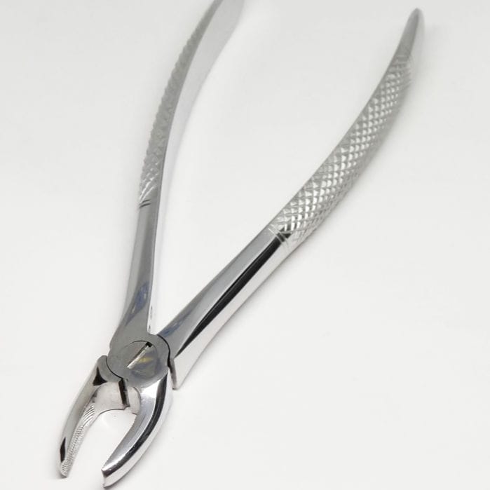 Tooth root extraction forceps - 12-43-007 - Lorien Industries