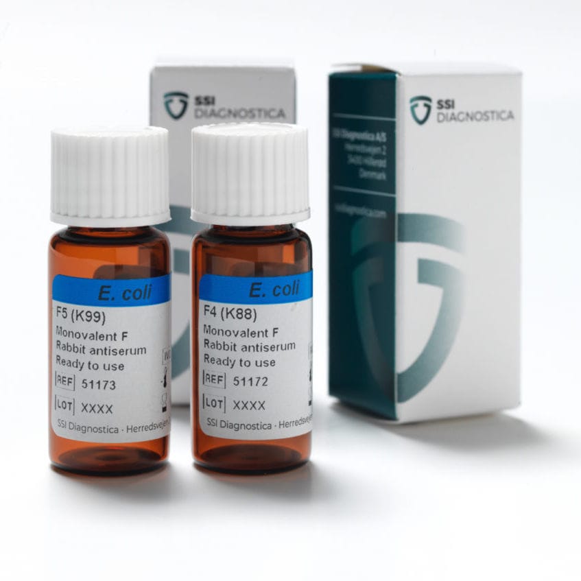 Antibody - 51172 - SSI Diagnostica - antiserum / rabbit serum / antigen