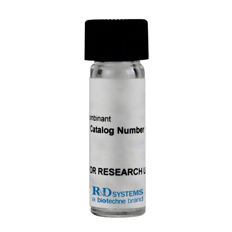 Enzyme reagent - E-305 - R&D Systems - bovine serum albumin / for ...