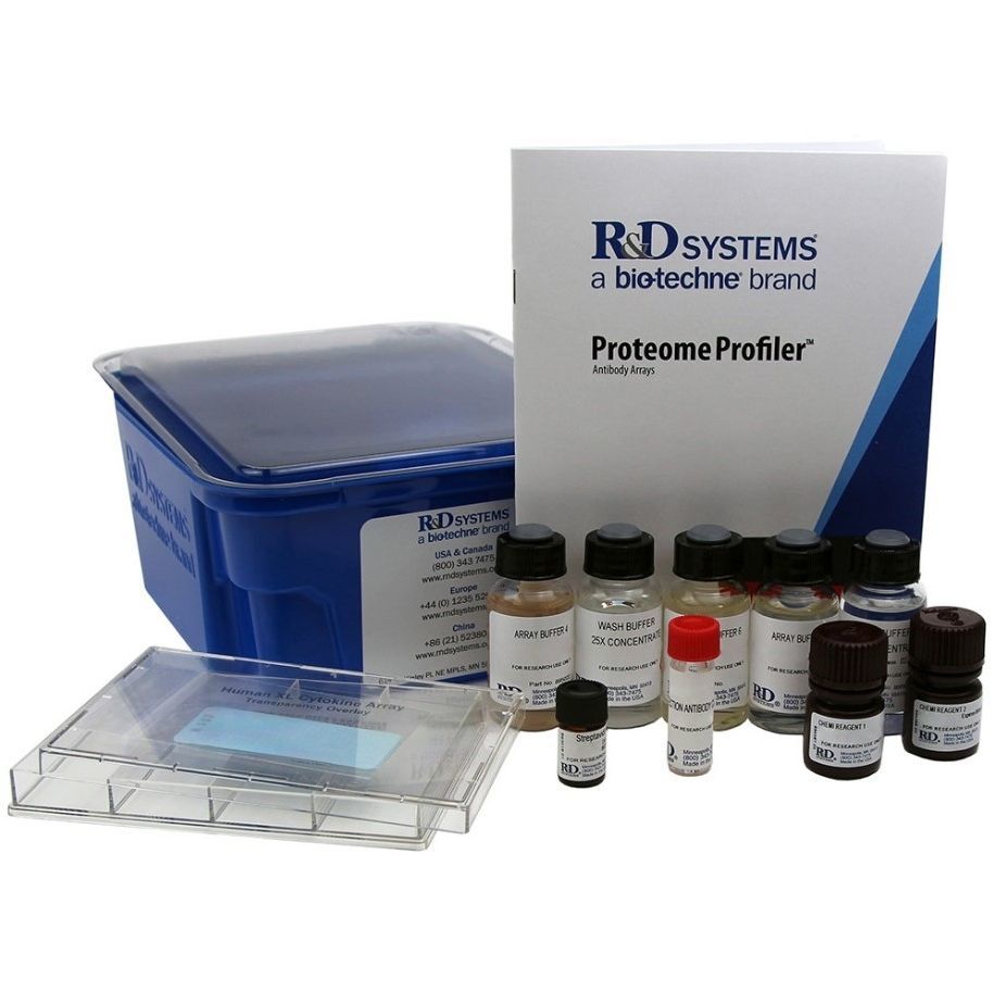 Protease reagent kit - ARY021B - R&D Systems - antibody / tissue / protein
