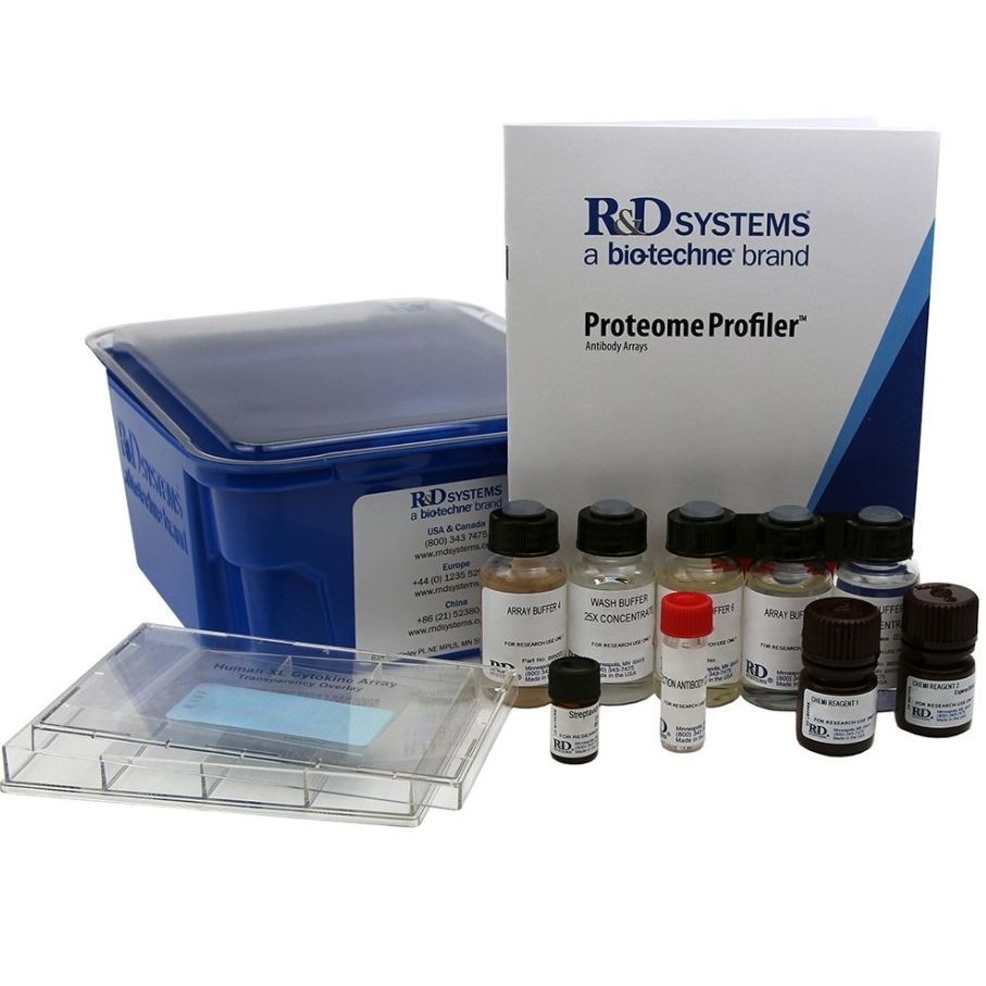 Protease reagent kit - ARY025 - R&D Systems - antibody / tissue / protein