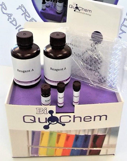 Protein concentration reagent kit - KB03005 - Bioquochem - for protein ...