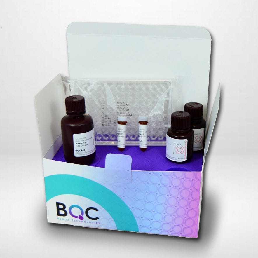 ORAC assay kit - KF1004 - Bioquochem - for clinical chemistry / total ...