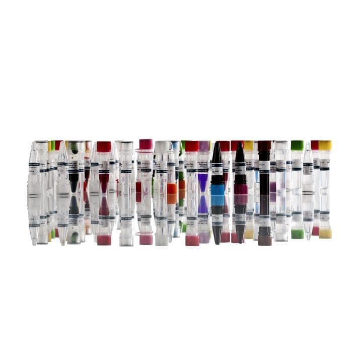 Solution reagent - Titan Taq 5x Mix - BioAtlas - for research / for PCR