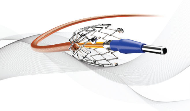 Peripheral stent - DYLANO - USM Healthcare Medical Devices Factory