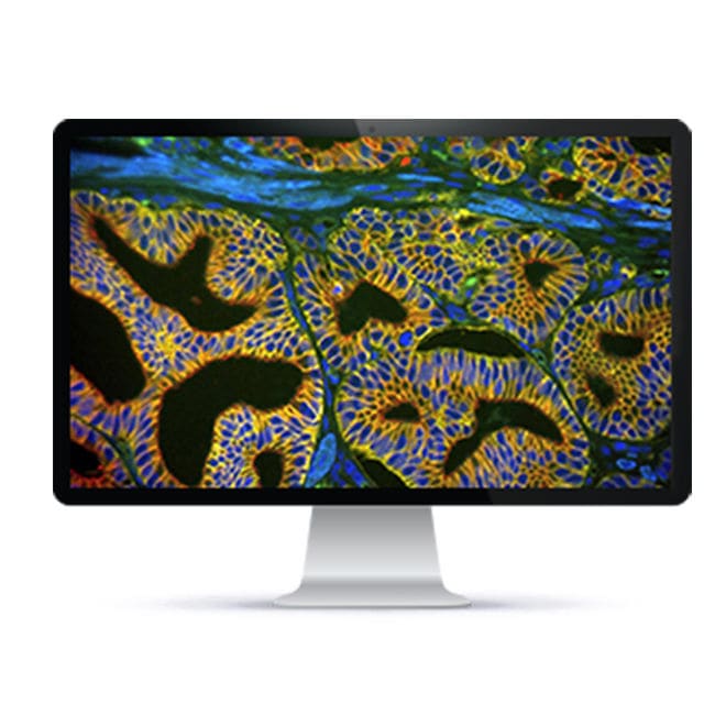 Automatic cell imaging system - Rainbow™ - Applied Spectral Imaging ...