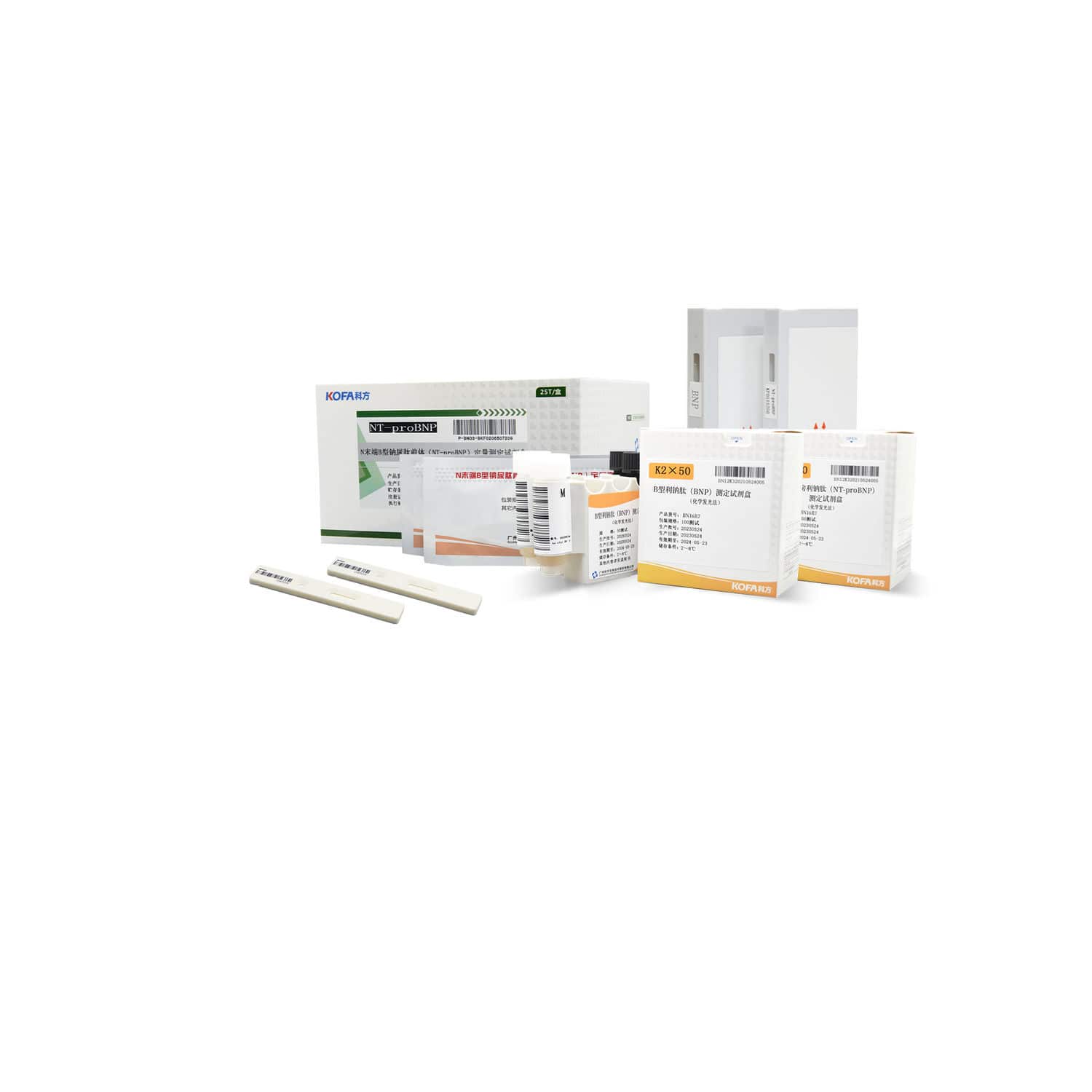 BNP reagent kit - Guangzhou KOFA Biotechnology Co.,Ltd. - solution ...