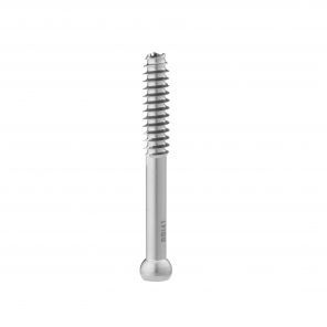 Ankle osteotomy screw - HankilTech Medical - tibia / femoral / femoral ...