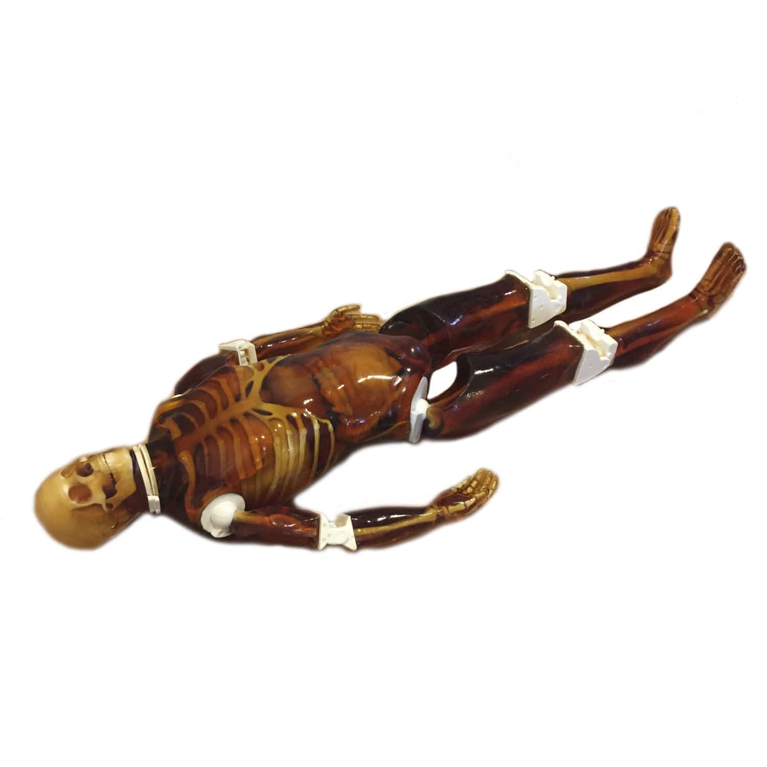 Ultrasound imaging test phantom - FB-A04 - True Phantom Solutions - for ...