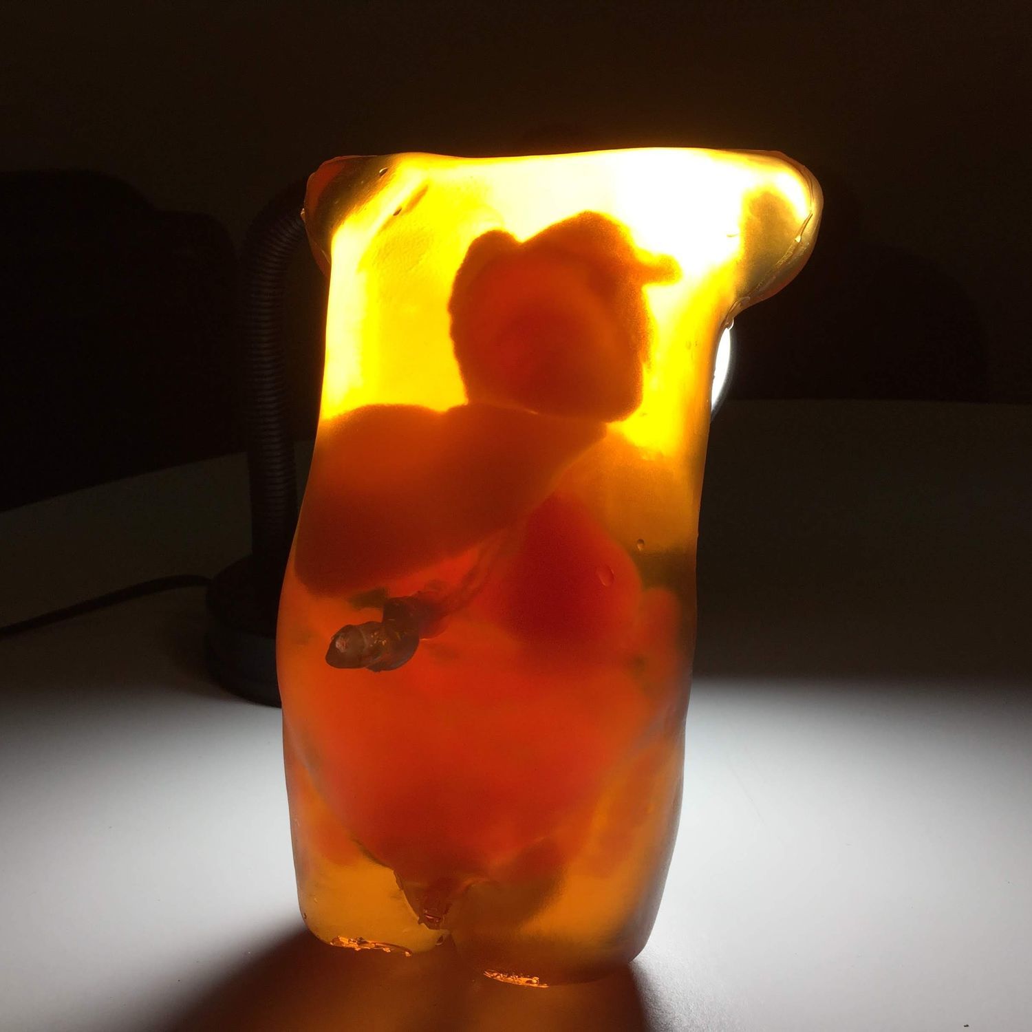 Ultrasound imaging test phantom - AN-N01 - True Phantom Solutions - for ...