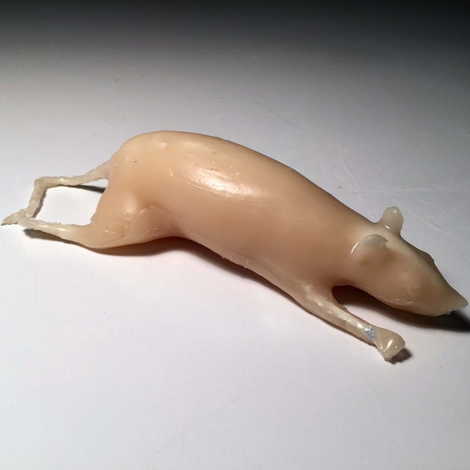 CT Scan veterinary test phantom - RT-A02 - True Phantom Solutions ...