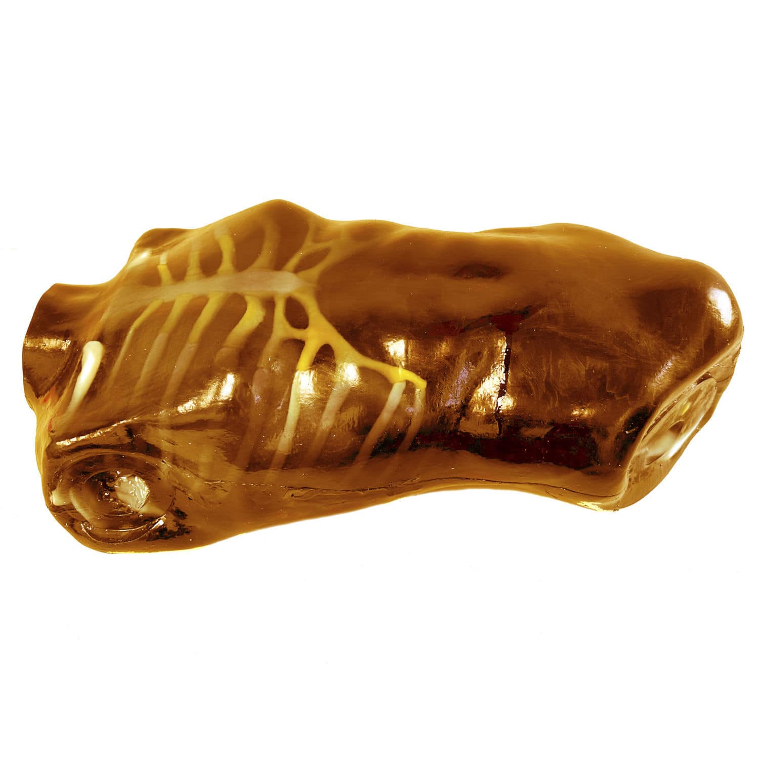 Ultrasound imaging test phantom - US-A04 - True Phantom Solutions - torso