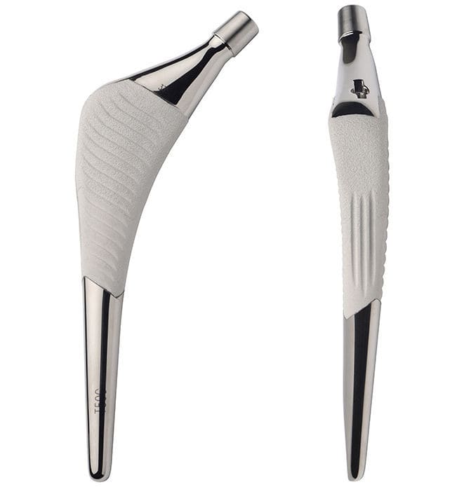 Cementless femoral stem - RESPECT - Aston Medical