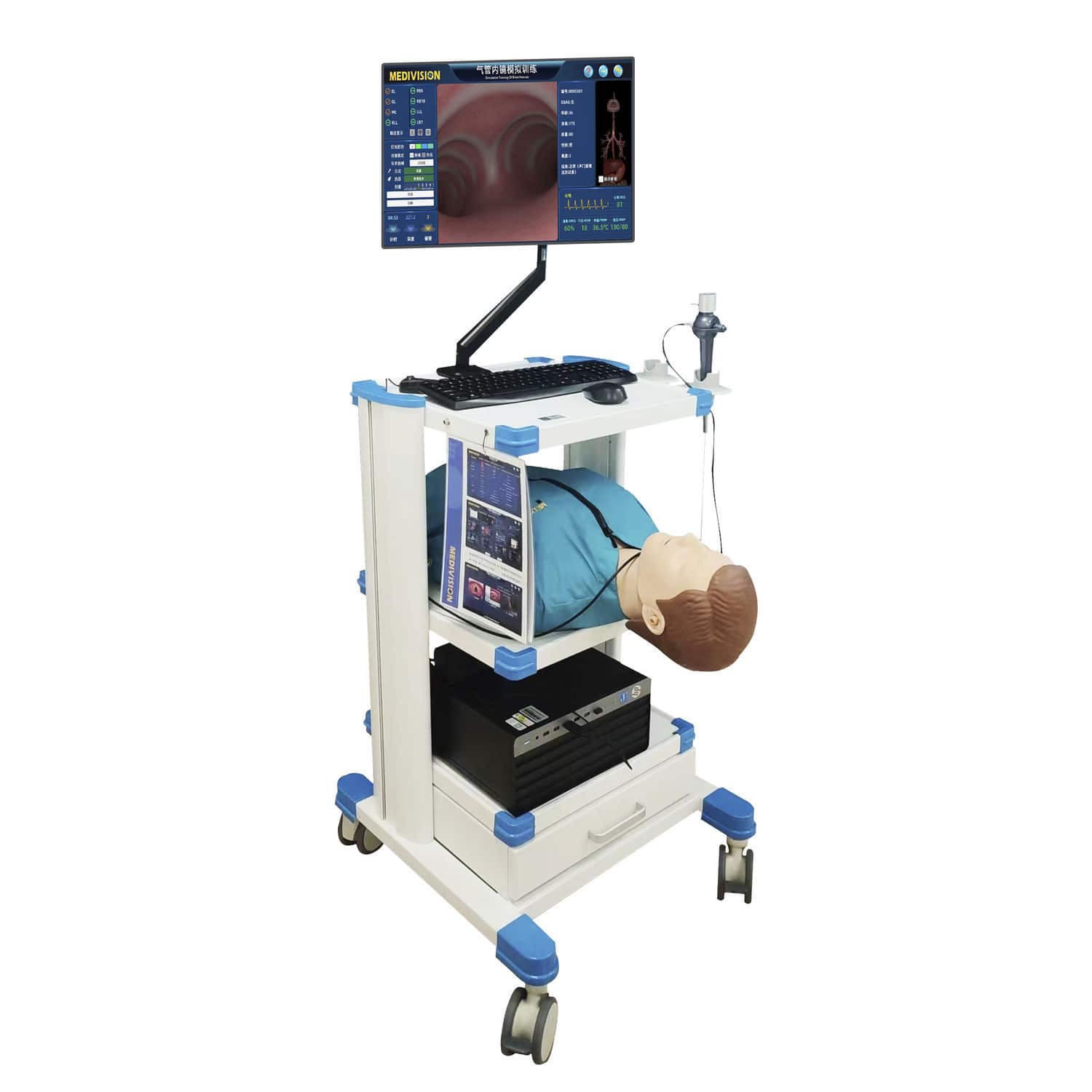 Bronchoscopy simulator - MV-B01 - Vimac - training / for general care