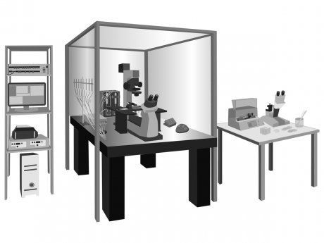 Automatic patch-clamp system - Multi Channel Systems