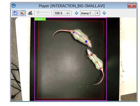 Tracking software - SMART 3.0 - Panlab - image analysis / video ...