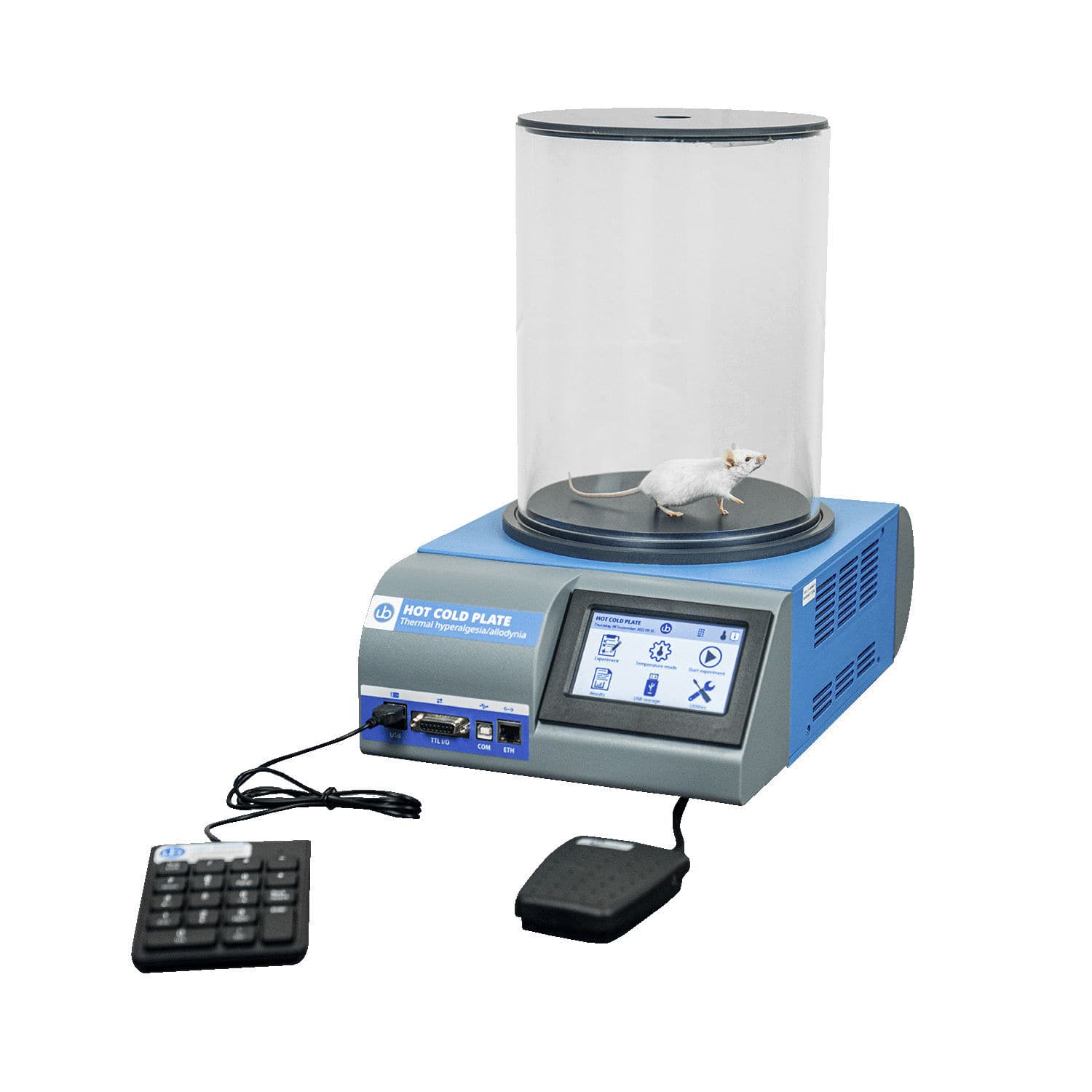 Thermal gradient analgesimeter - 35300 - Ugo Basile - for animal ...