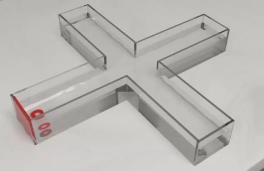 T-shaped experiment maze - Zebrafish - INTELLIBIO - for animal research