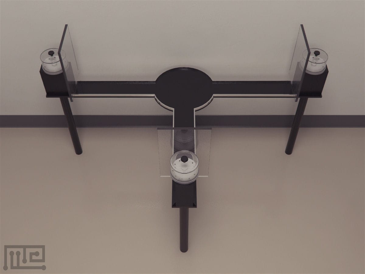 T experiment maze - Circular Central - MazeEngineers - for animal ...