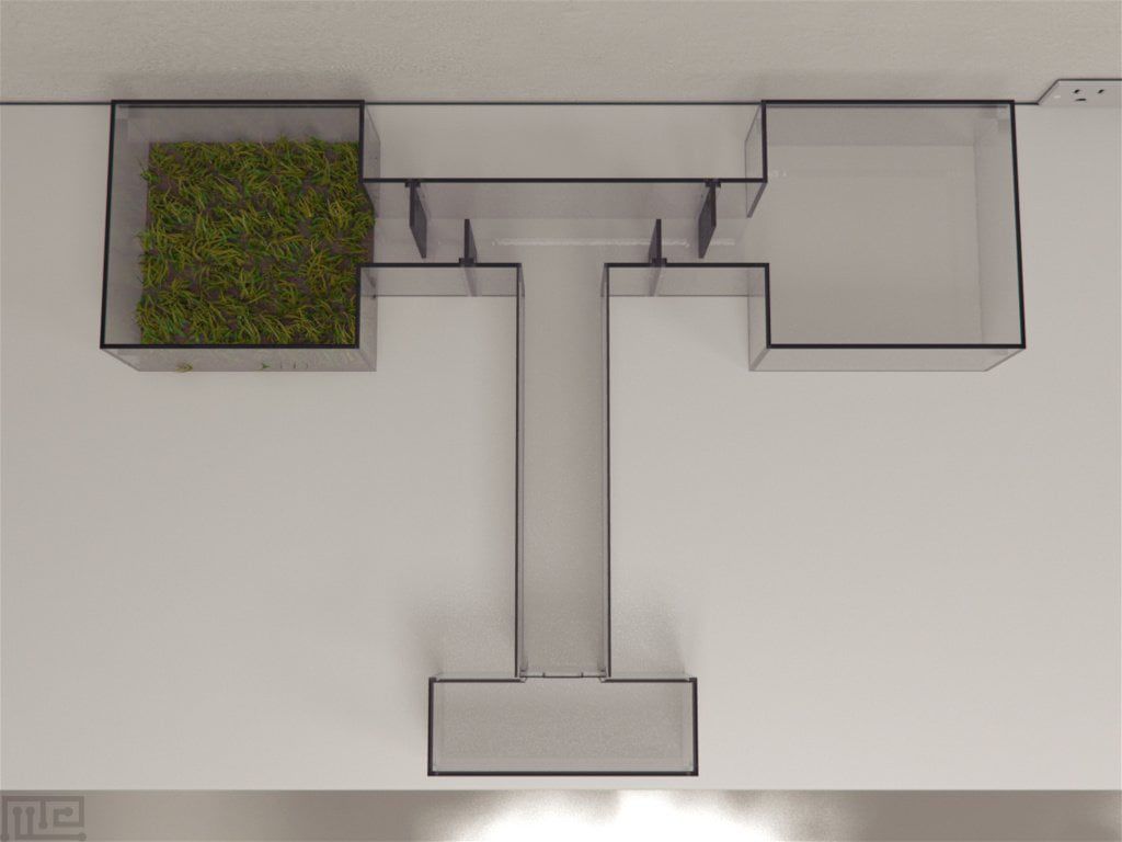 T experiment maze - Zebrafish Bifurcating - MazeEngineers - for animal ...